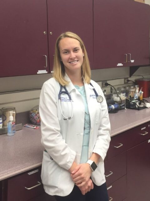 Veterinarian In Stuart, FL | All Creatures Animal Hospital