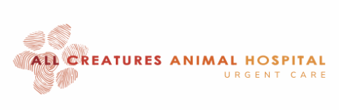 Best Veterinary Hospital In Stuart, FL | All Creatures Animal Hospital